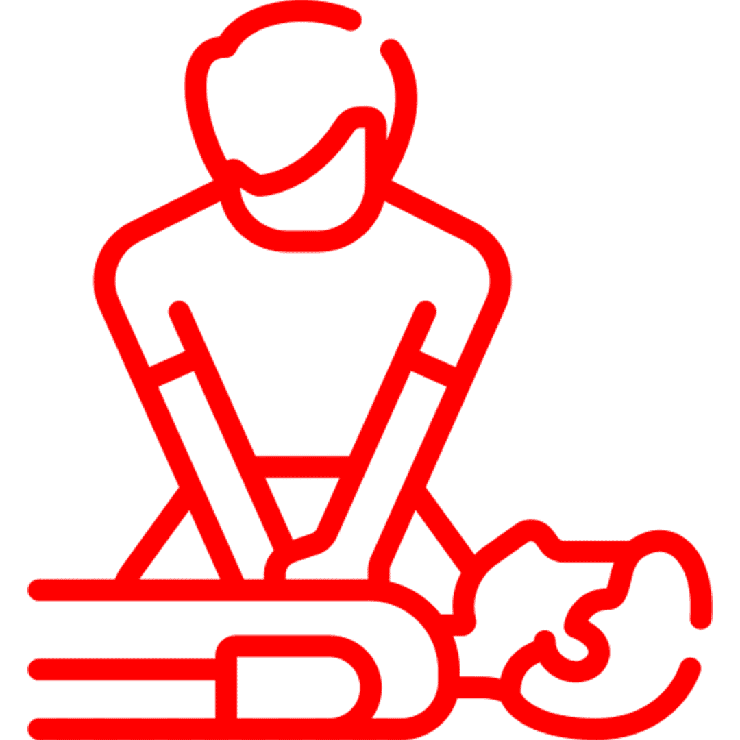 AHA BLS Classes in San Francisco for Health Care Providers